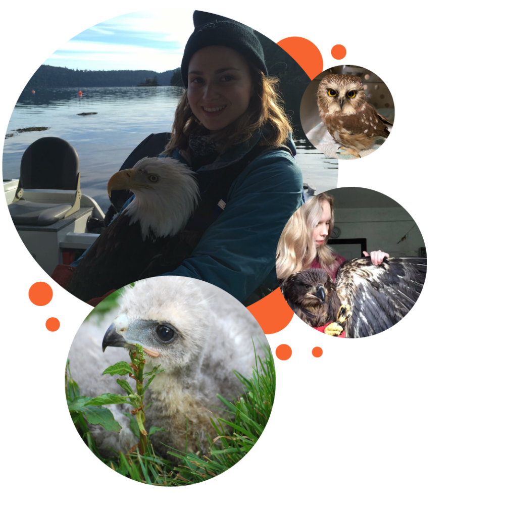 Contact Us - The Raptor Rescue Society